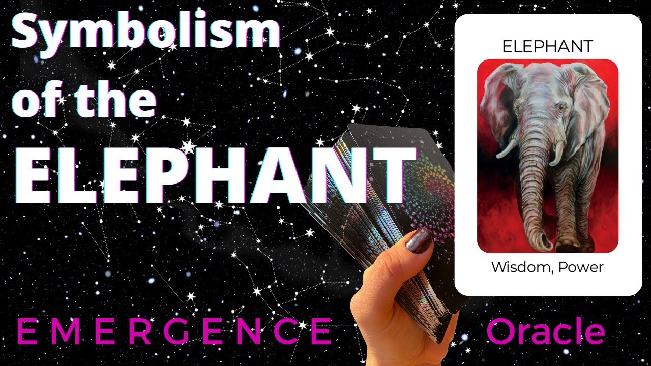 🐘 Elephant: ROOT CHAKRA Power - Inspiration from the E M E R G E N C E ...