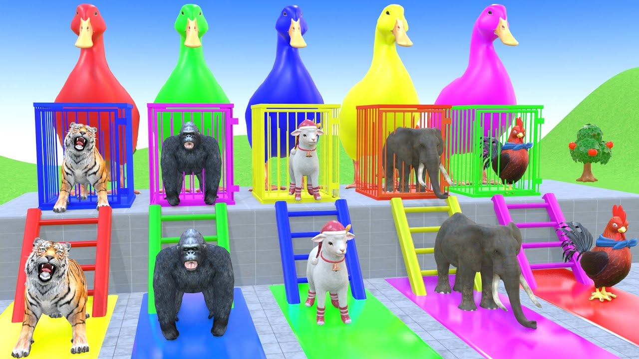 Long Slide Game With Cow Elephant Gorilla Hippopotamus Tiger 3d Animal ...