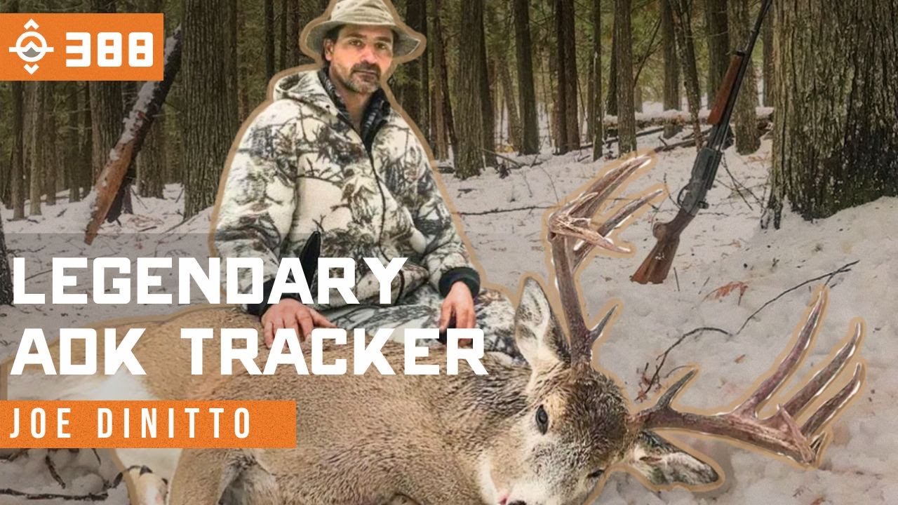How to Consistently Track Mature Bucks w/ Joe DiNitto - ADK Tracker ...