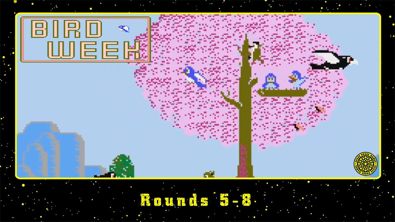 Bird Week (NES) Rounds 5-8 - YouTube