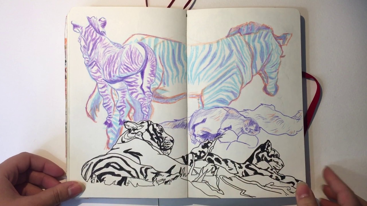 ACCEPTED...Calarts Sketchbook 2020 - YouTube