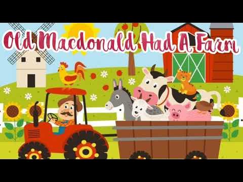 Old MacDonald Had a Farm Song with Lyrics|Nursery Rhymes| #kidsvideo # ...