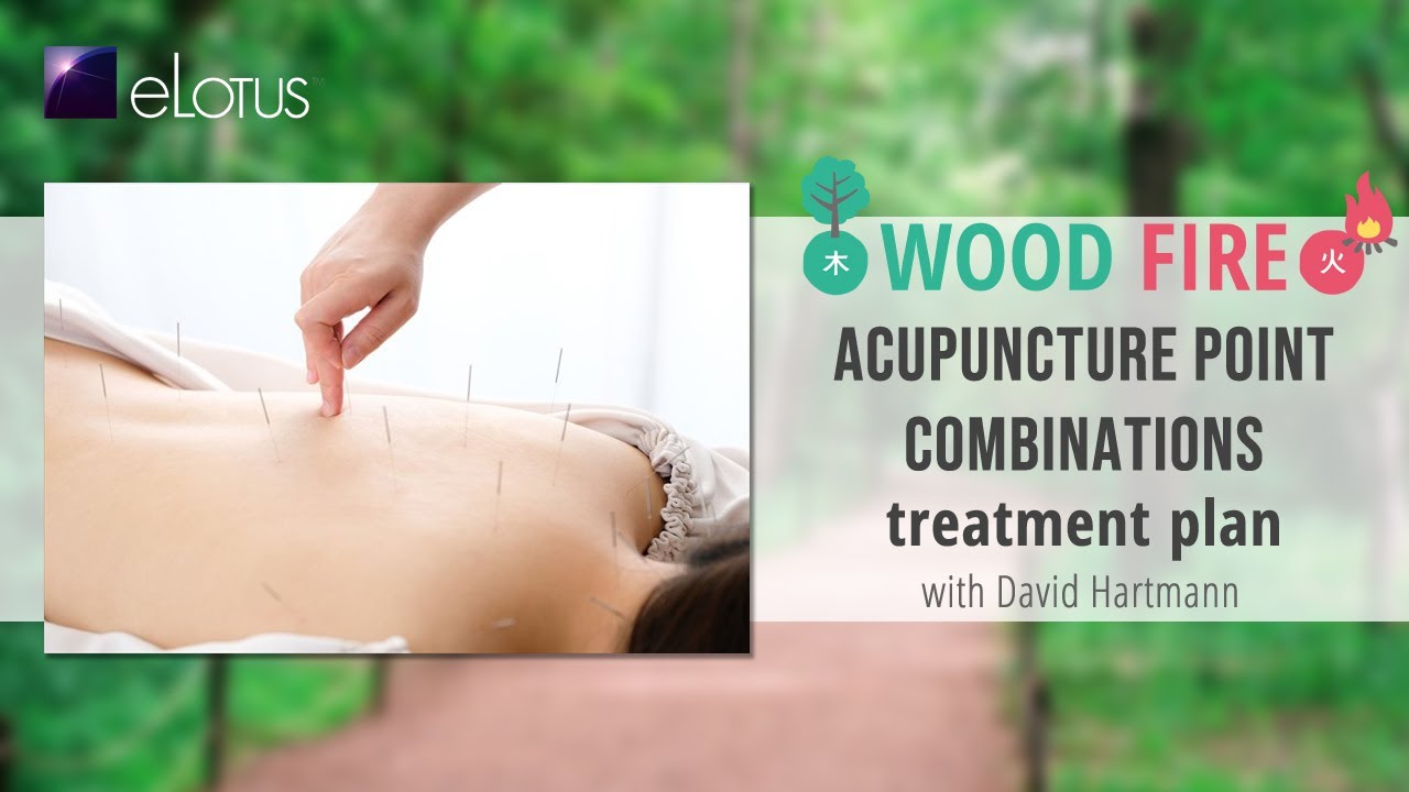 Wood Fire Acupoints with David Hartmann | Acupuncture CEU Course - YouTube
