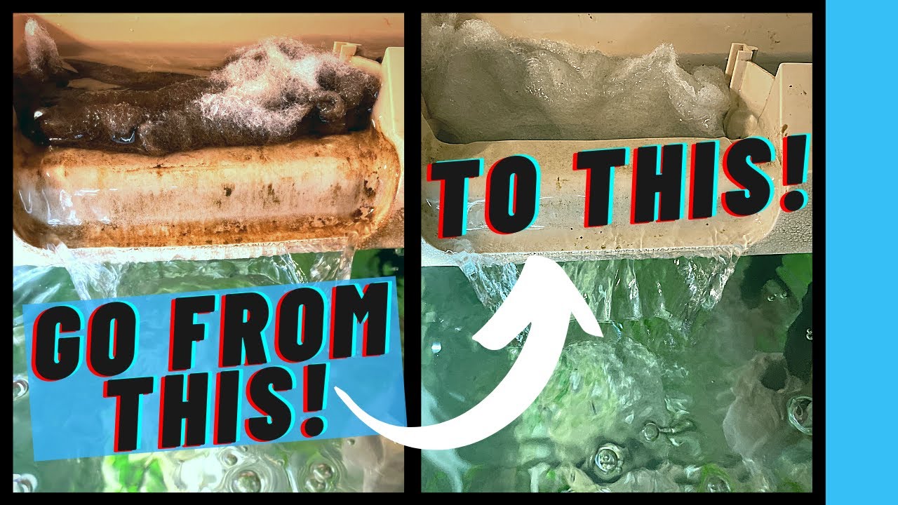 How to CLEAN Hang on Back Filter | Cleaning Hang on Back filter - YouTube