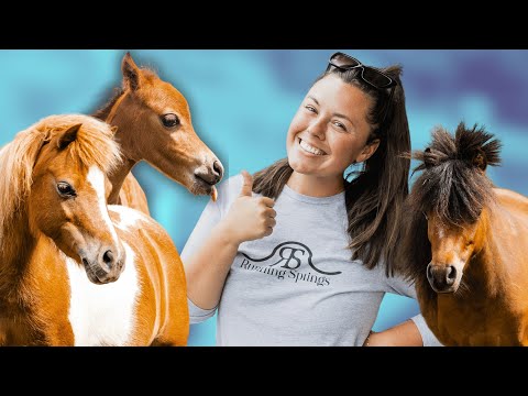 The REAL Names Of My Animals...