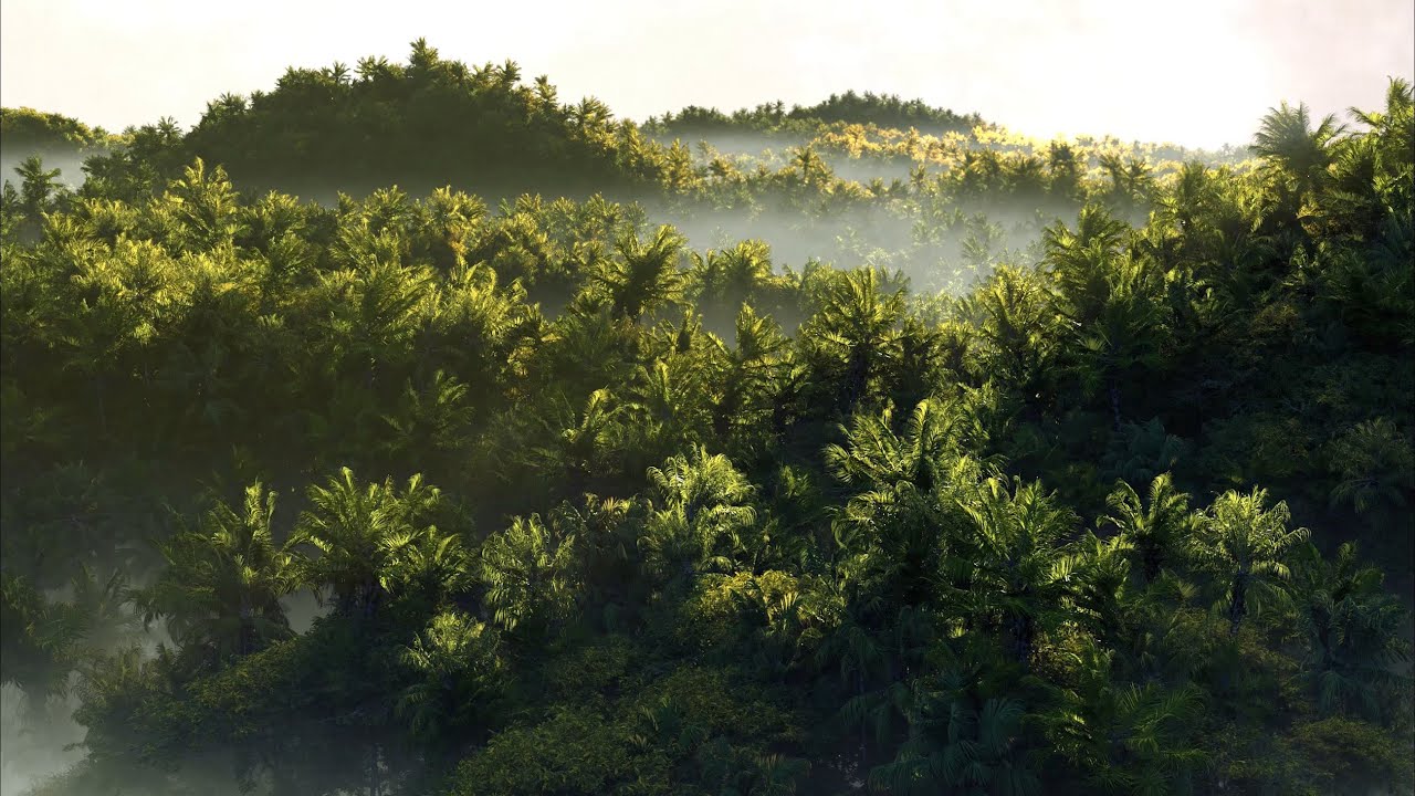 Tropical Environment Scene with EnvIt, Maya and SpeedTree - BREAKDOWN ...