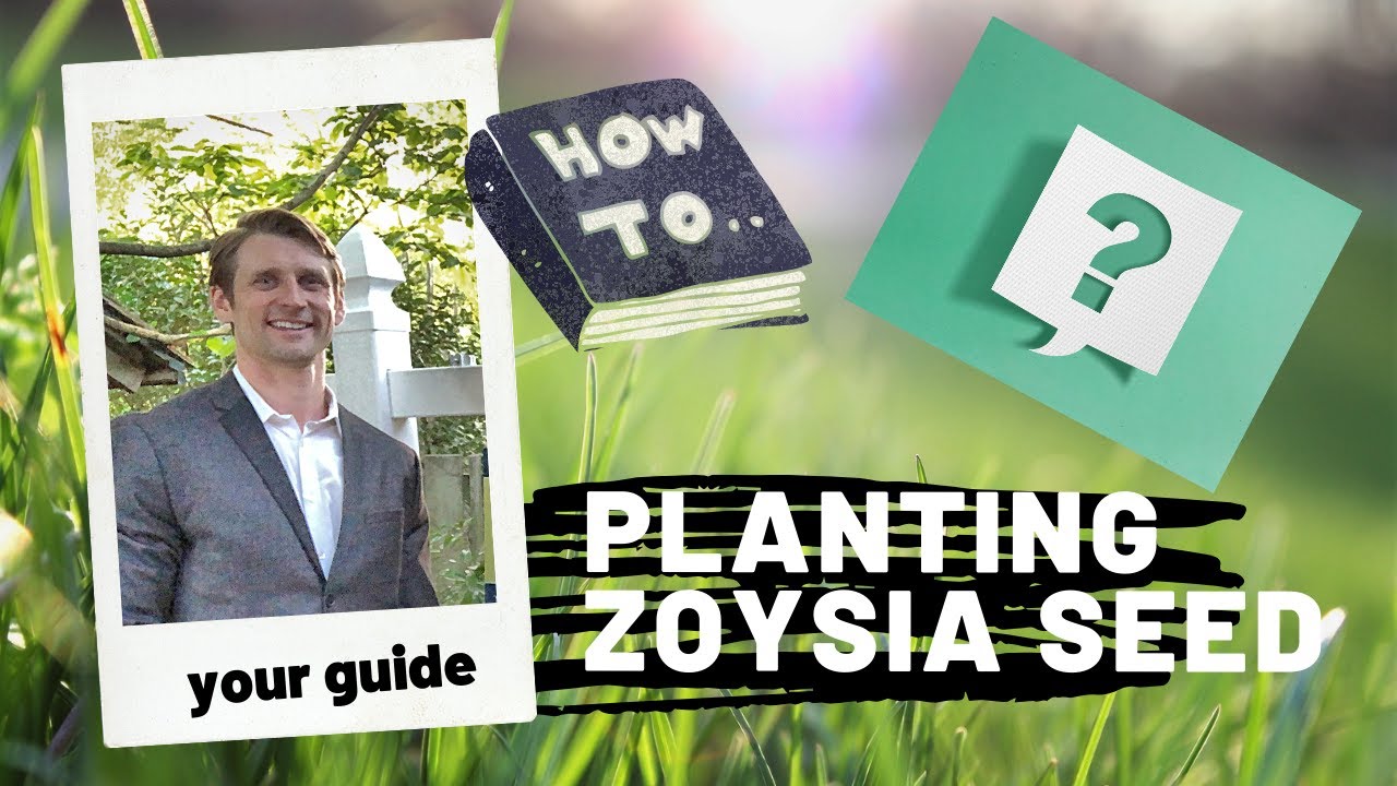 How to: Planting Zoysia From Seed (Part 1) - YouTube