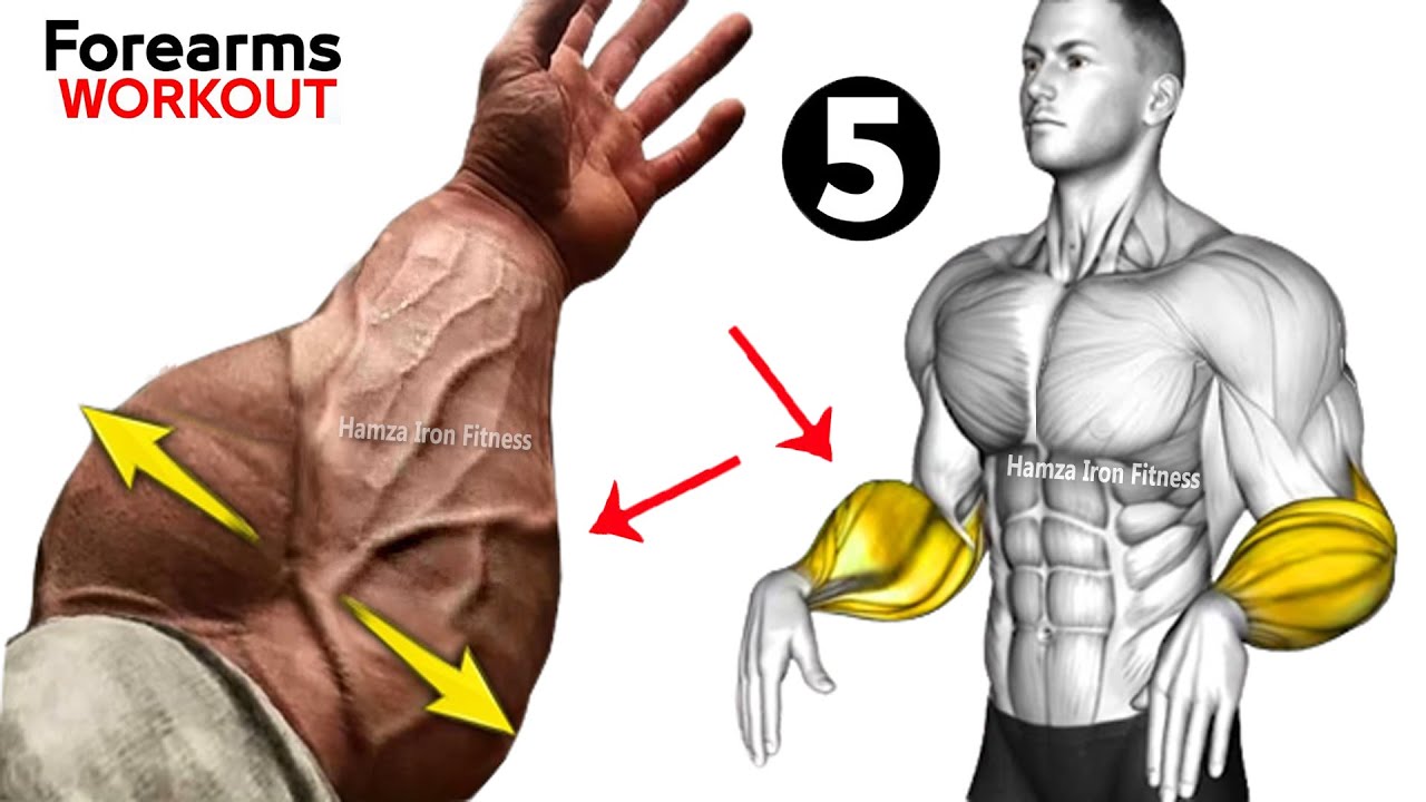 5 BEST Exercises for Bigger Forearms - YouTube