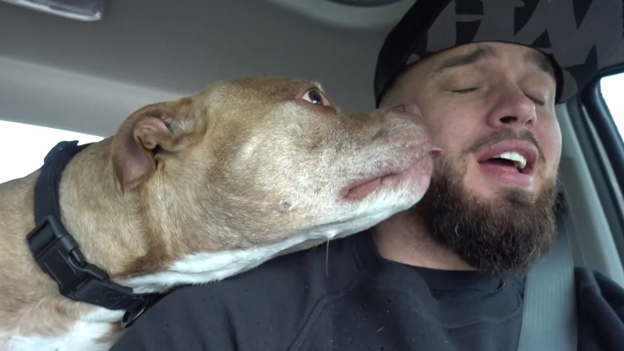 Have fun without me | daily 106 - YouTube