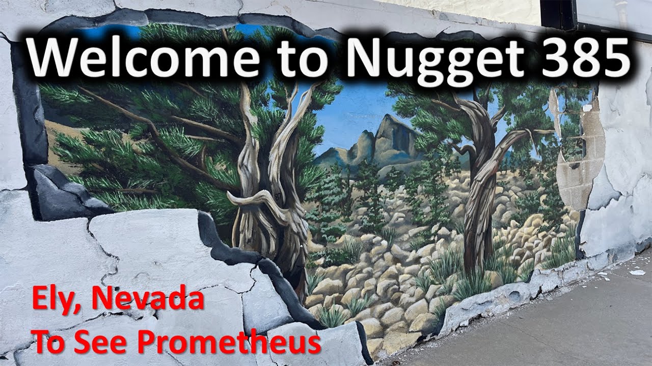 Join Us in Nevada To See Prometheus, The Bristlecone Pine - YouTube