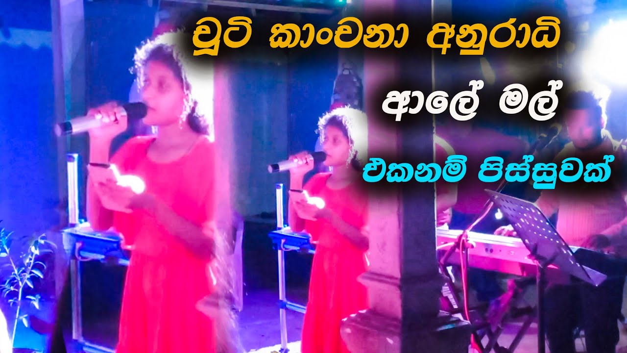 රටම කතාවෙන පුංචි කාංචනා අනුරාධි ( ආලේ මල් 🌺 ) Kanchana Anuradhi | Ale ...