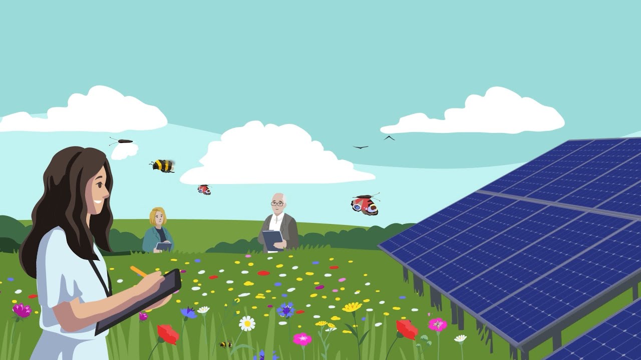 Envision Science Animation: Solar Parks For Pollinators - YouTube