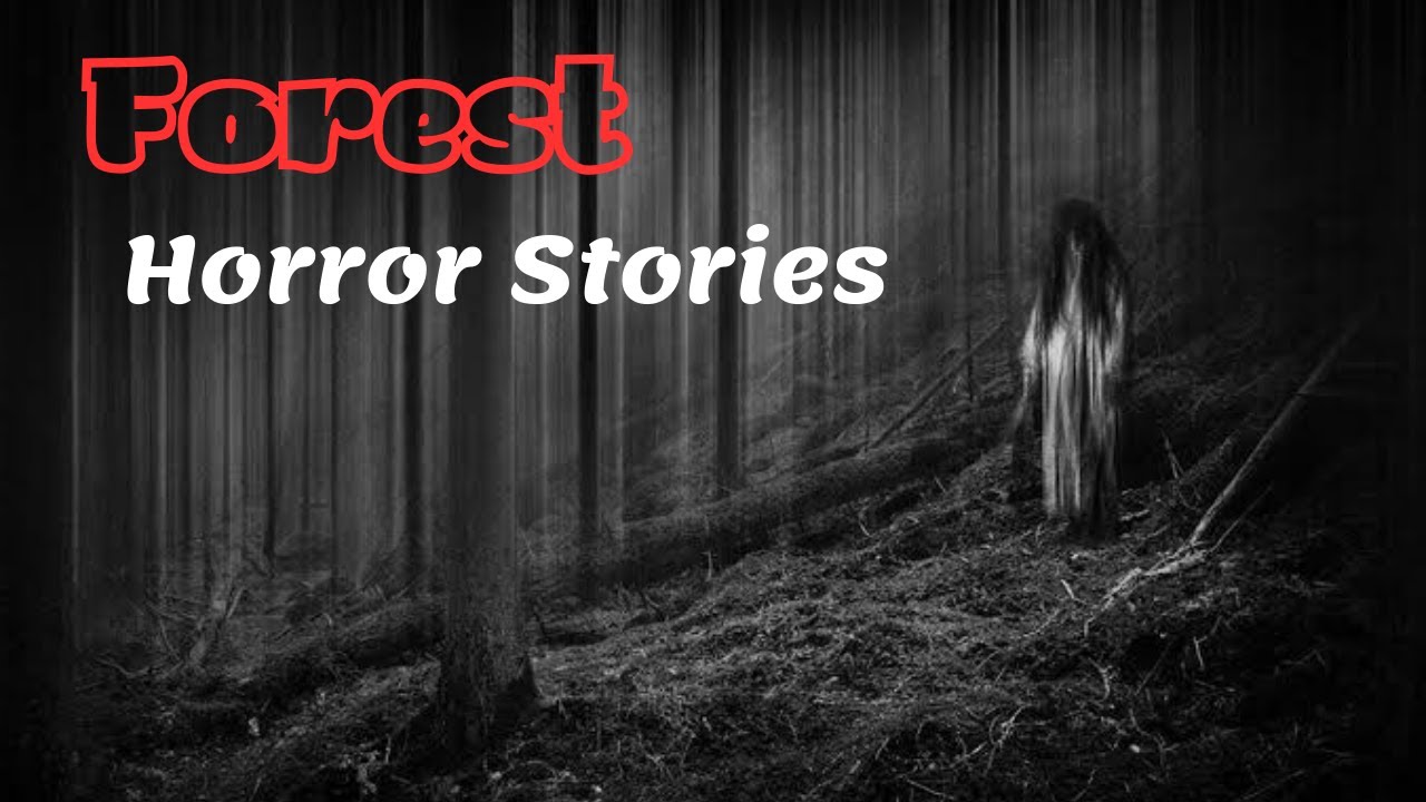 3 Unnerving Forest Hiking & Camping Horror Stories - YouTube