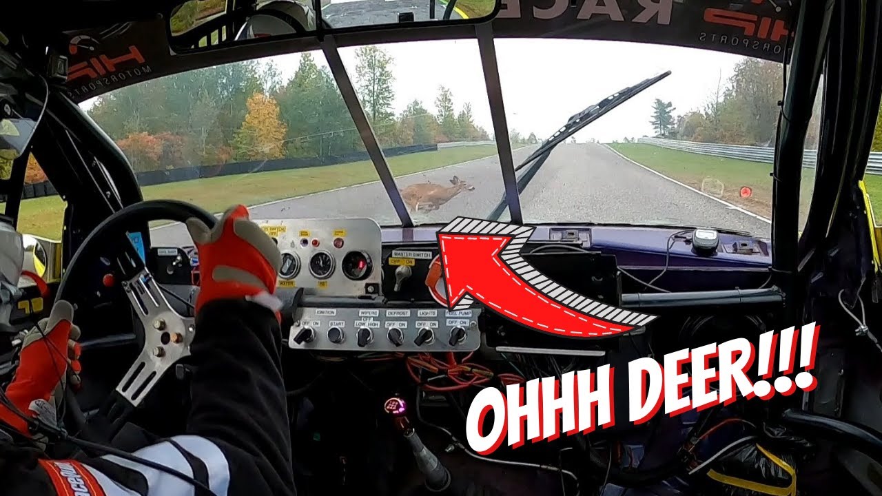 Racecar hits DEER while on TRACK!!! (Calabogie Motorsports Park) - YouTube
