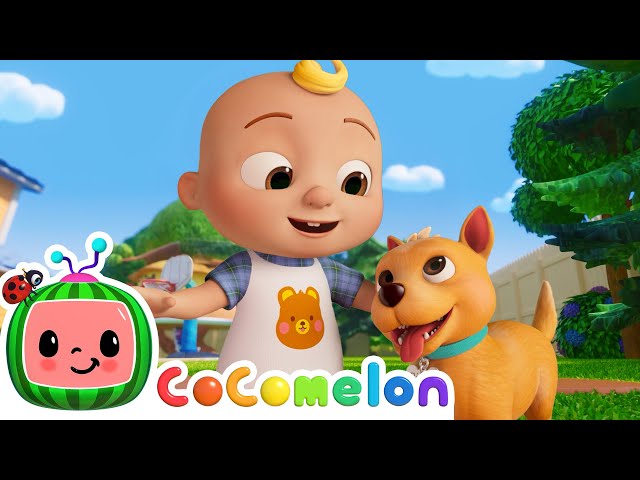 B.I.N.G.O. Was His Name, Oh! 🐶 CoComelon | Nursery Rhymes for Babies ...