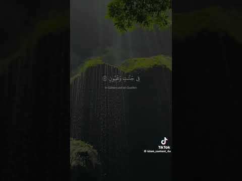 Gewiß, der Zaqqum-Baumist die Speise des Sünders;