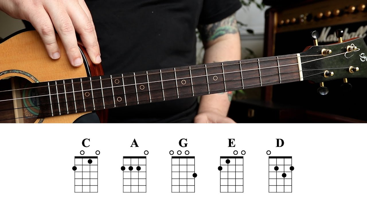 Learn the Fretboard, play chords up the neck, the CAGED System ...