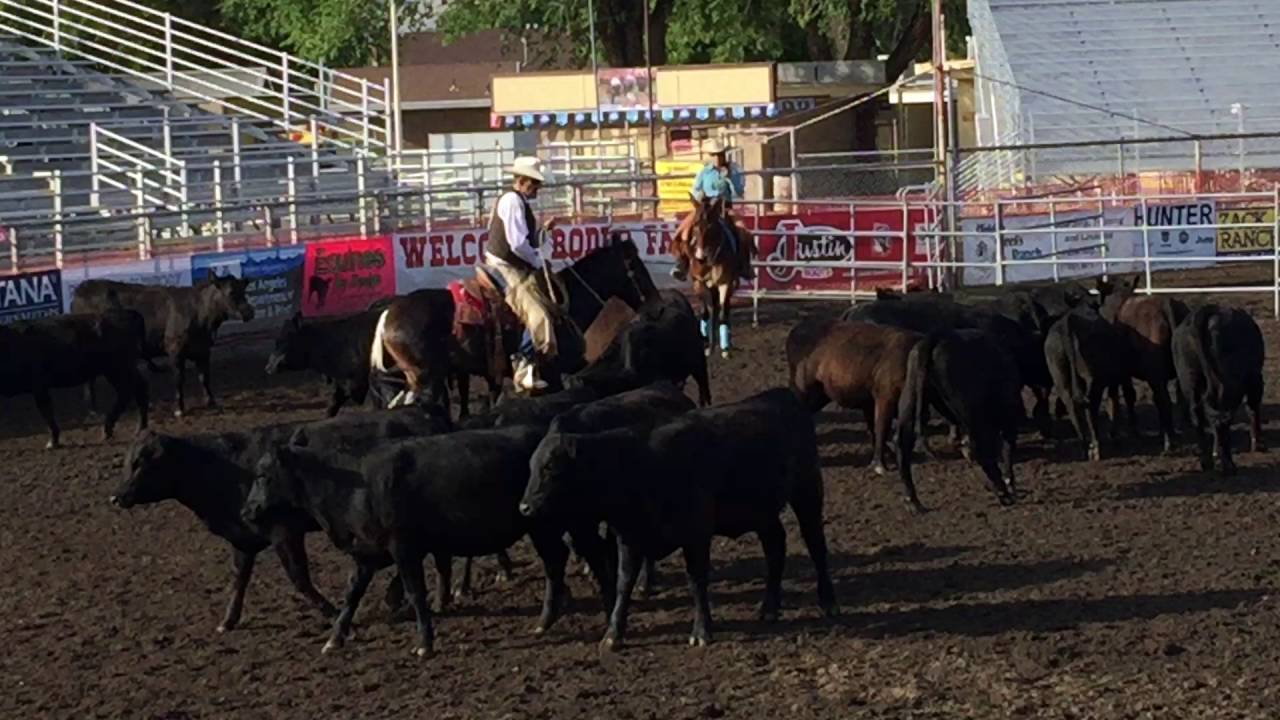 Rebel Mule Cutting Bichop Mule Days 2016 - YouTube