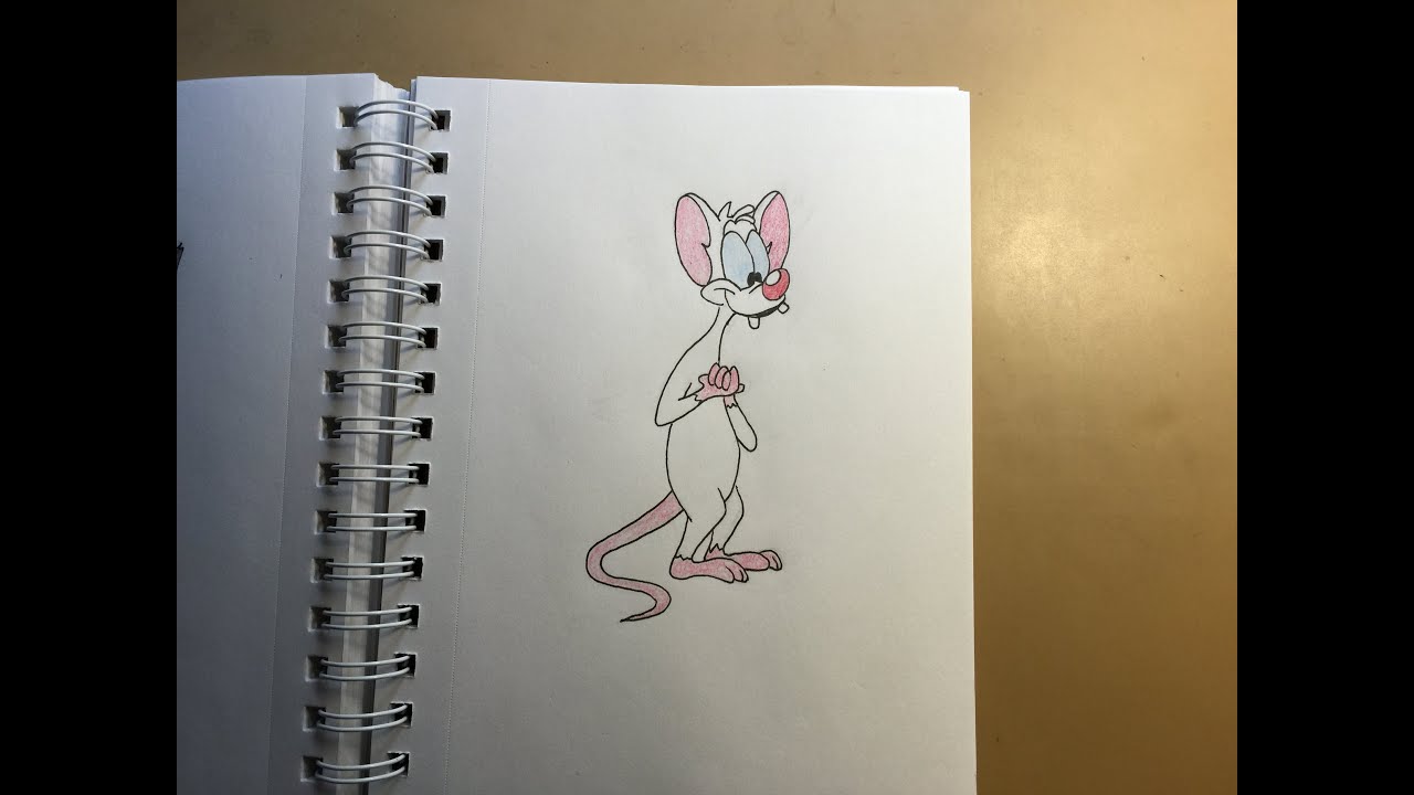 475 How To Draw Pinky From Pinky And The Brain YouTube 475 How To Draw Pinky From Pinky And The Brain YouTube
