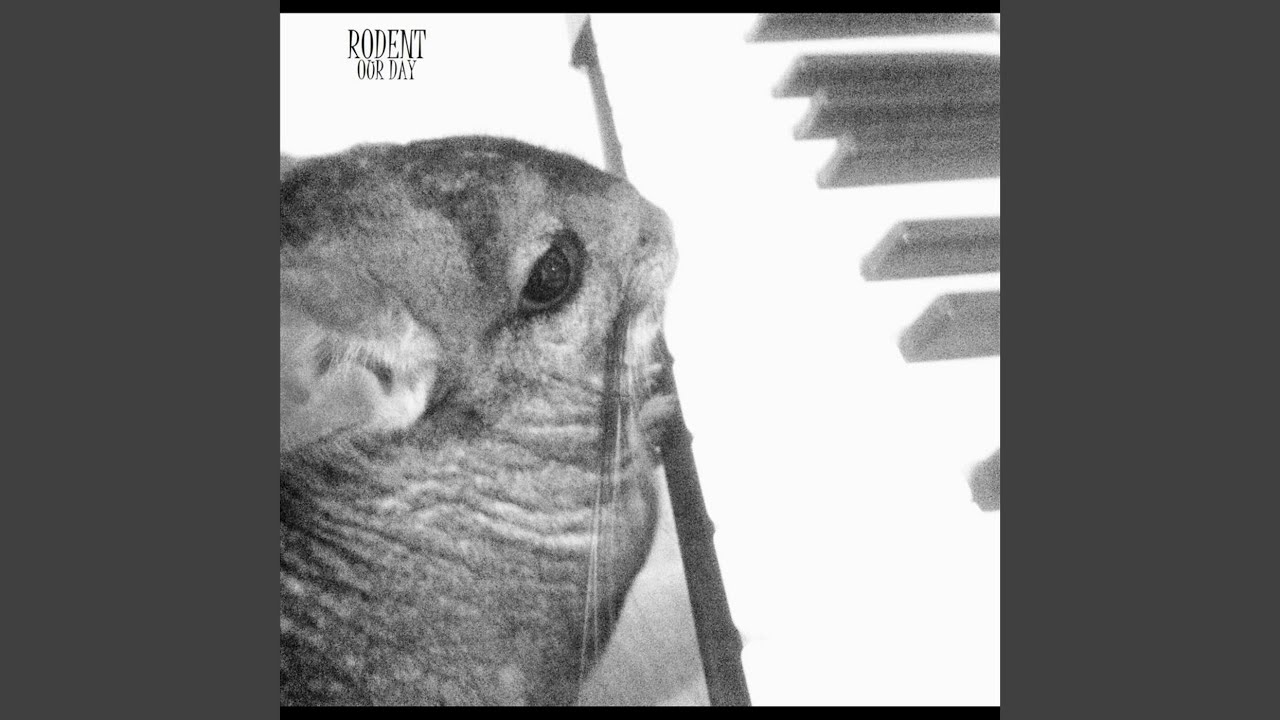 The Jazzle - YouTube