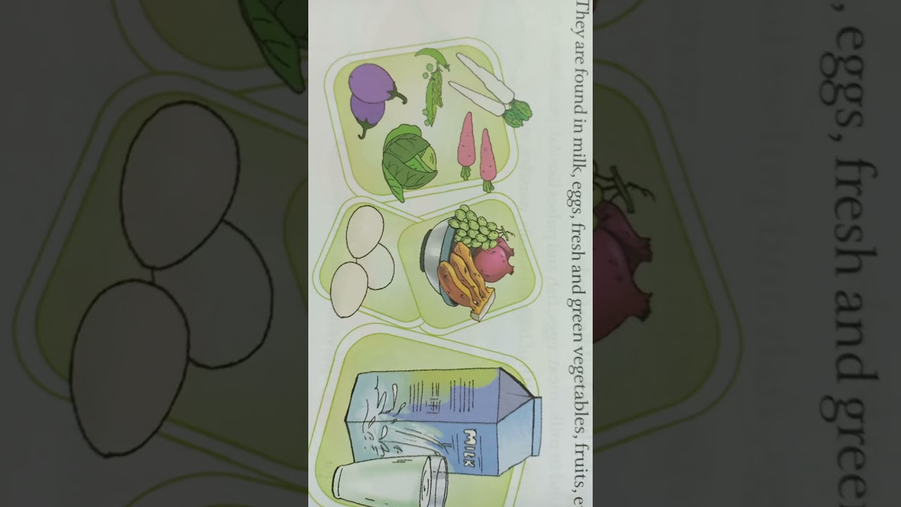 Science :- Minerals, Water and Roughage - YouTube