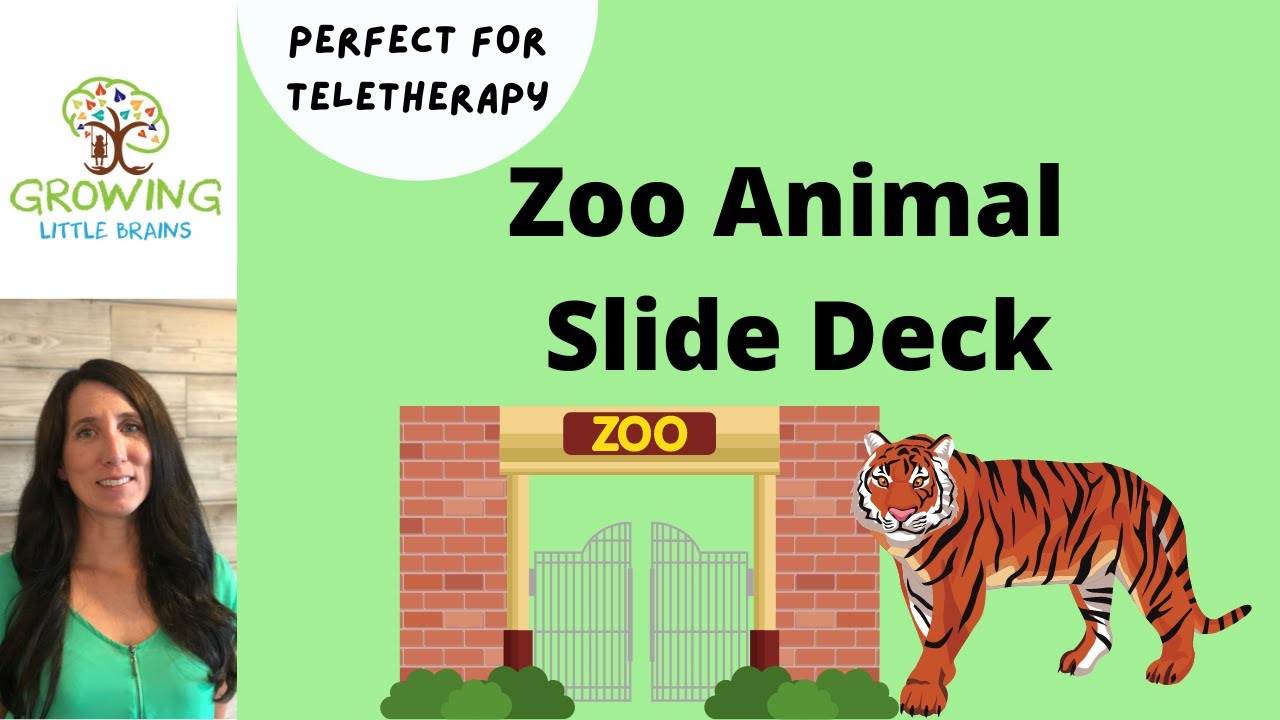 Zoo Animal Slide Deck - YouTube