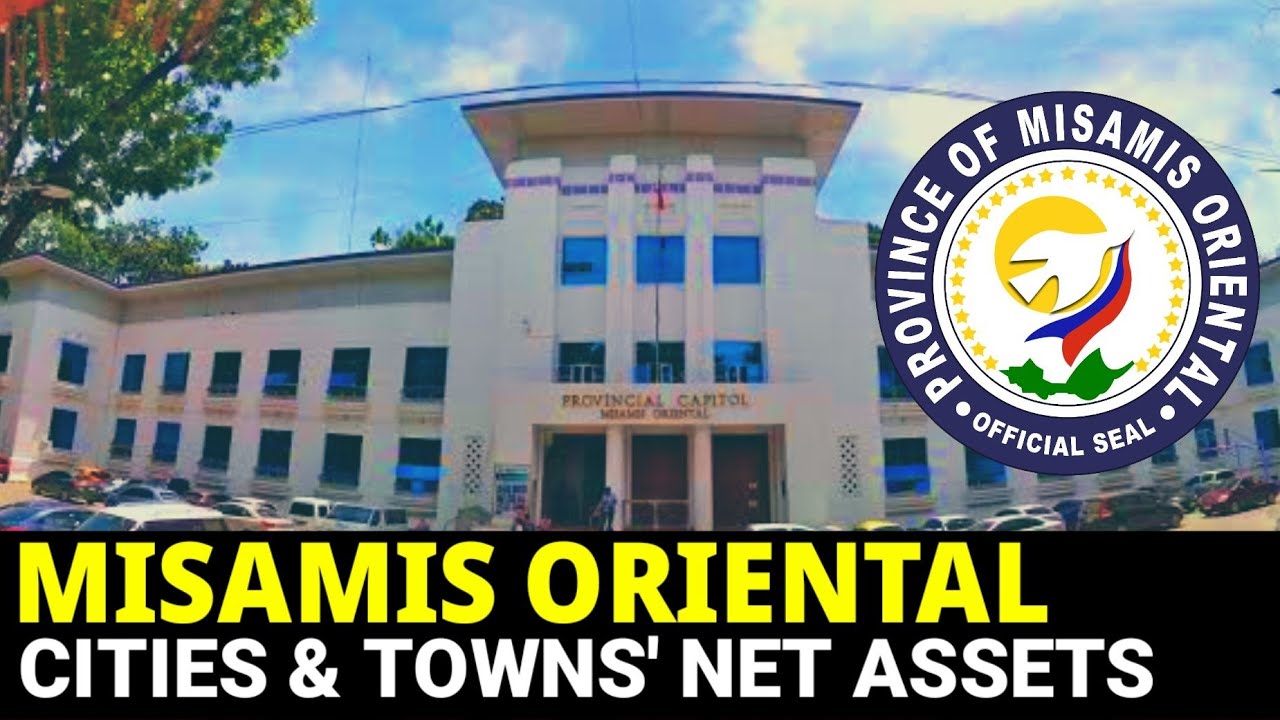 Misamis Oriental cities and municipalities Net assets 2020 Financial ...