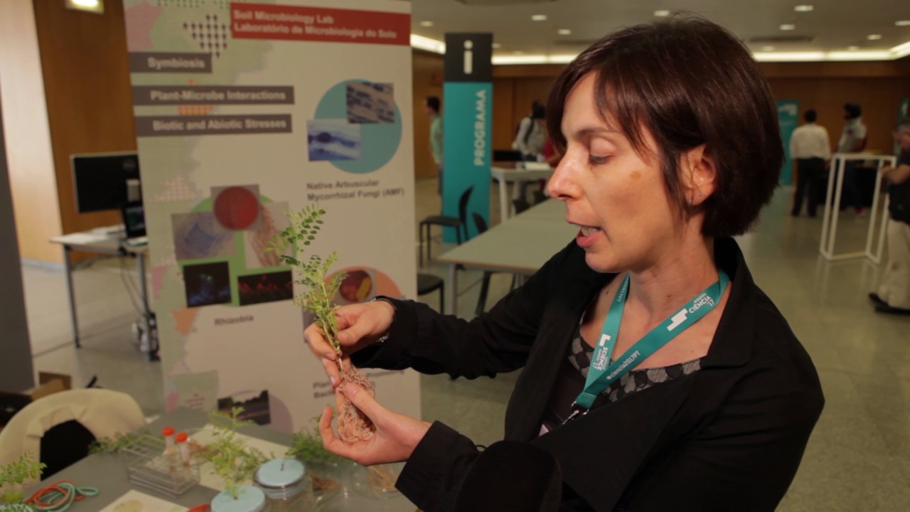 Ana Alexandre, Universidade de Évora - YouTube