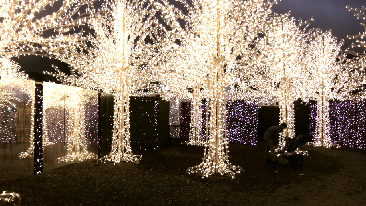 Enchant Light Maze - YouTube