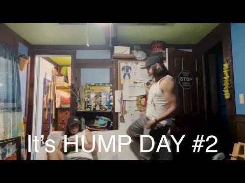 When your twin celebrates HUMP DAY on a Wednesday while I’m busy be ...