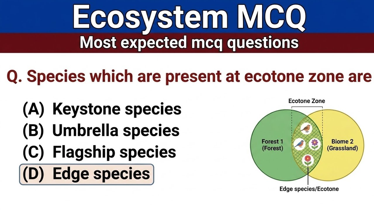 Ecosystem MCQ for NEET | Biology MCQ 2026 | Class 12 Biology MCQ - YouTube