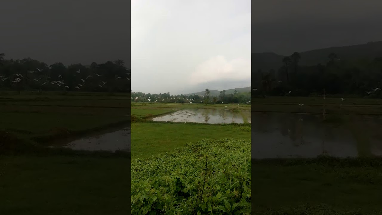 PROBINSYA!!!! - YouTube