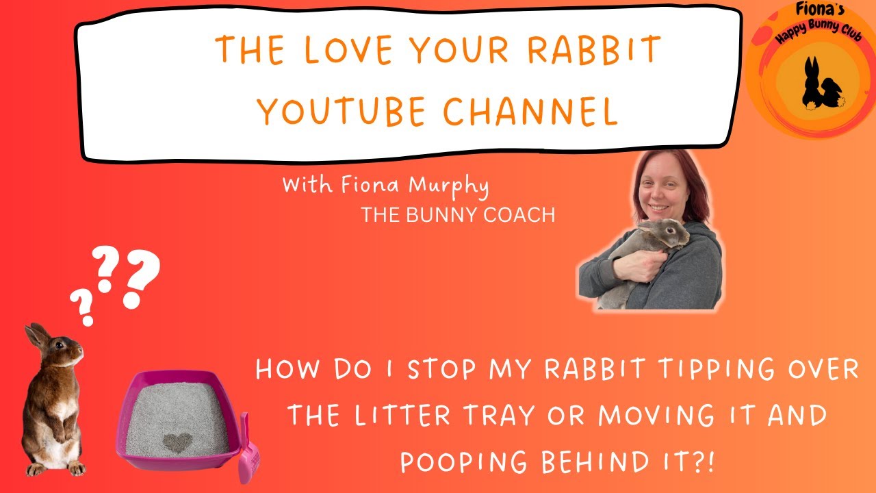 HOW DO I STOP MY RABBIT TIPPING OVER THE LITTER TRAY OR PUSHING IT ...
