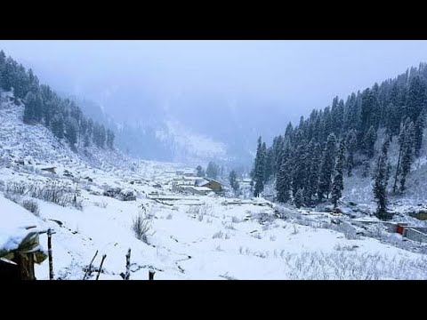 Short Trip To Gabin Jabba Camping Pods || Swat Valley || Vlg 03 || L.A ...