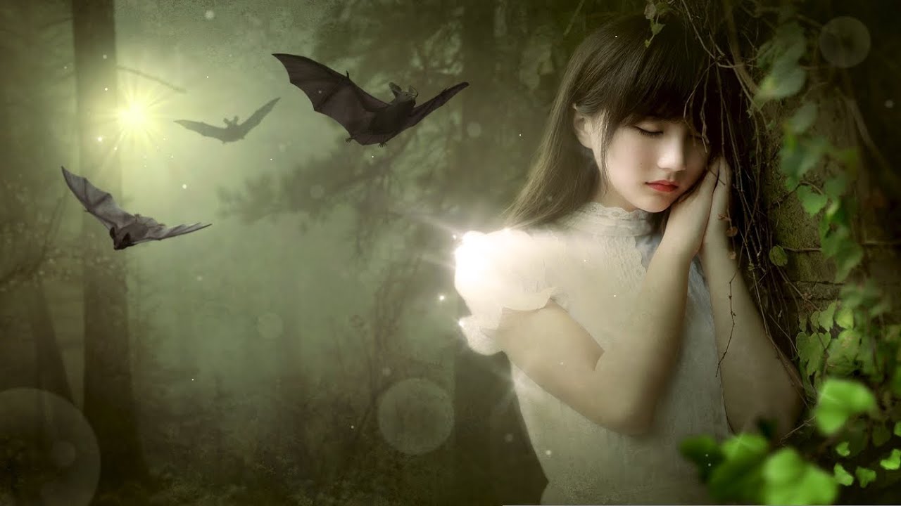 चमगादड़ और इंसान में संबंध | Relationship between Bat and human beings ...