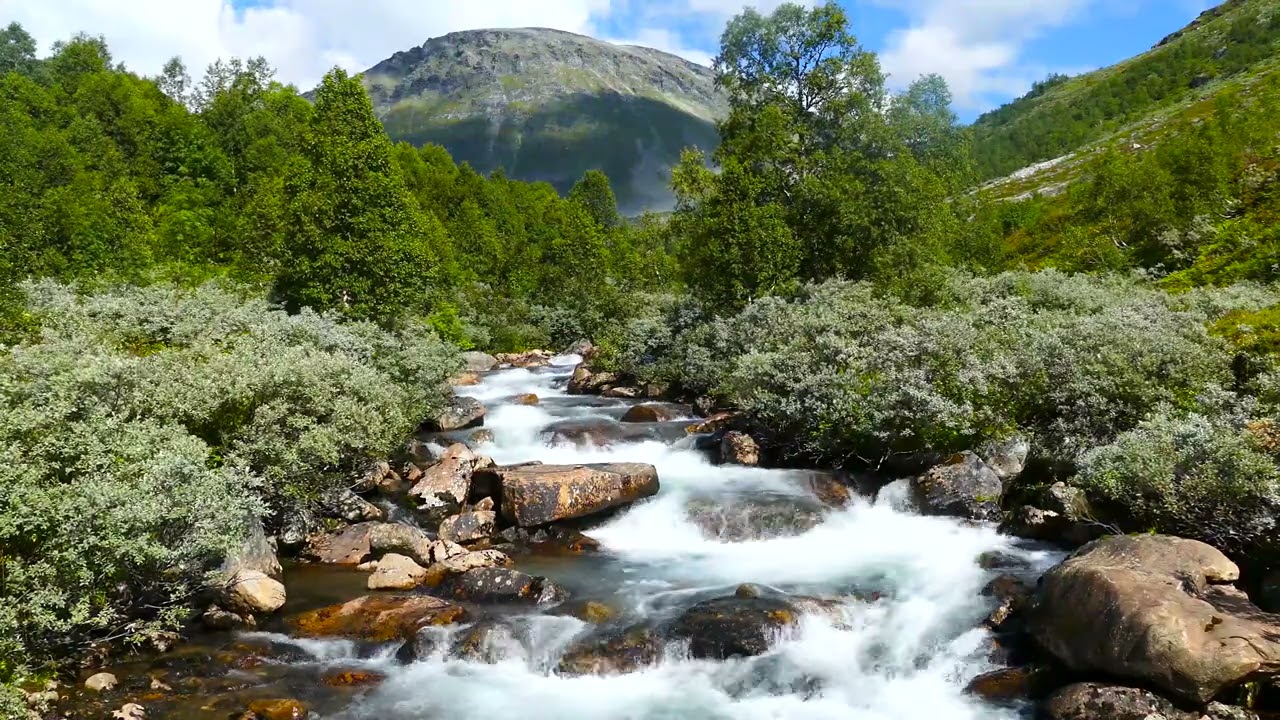 Calming Soft River flowing Sound. 10 Hours Water Stream. Gentle River ...