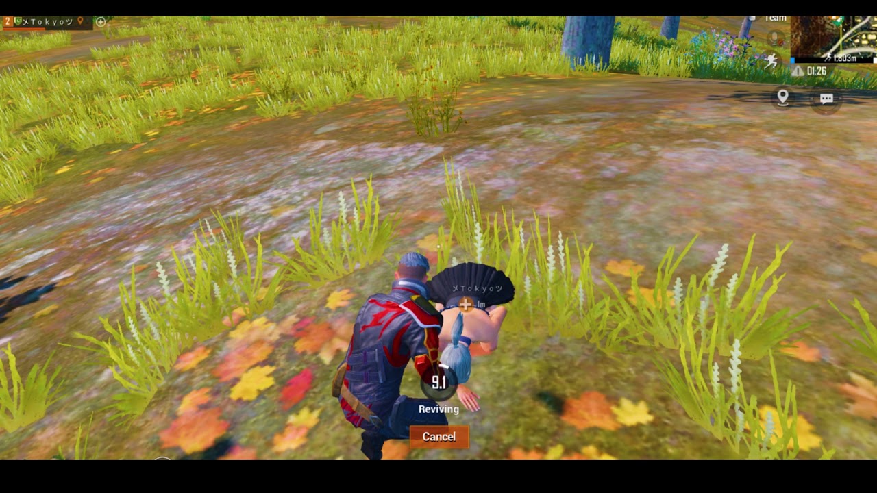 Pubg Mobile Whatsapp Status Video Youtube