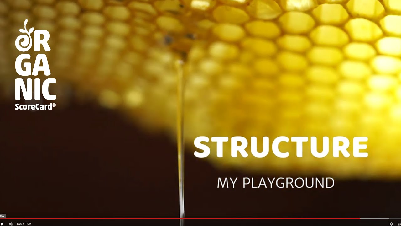 Structure Youtube 4481
