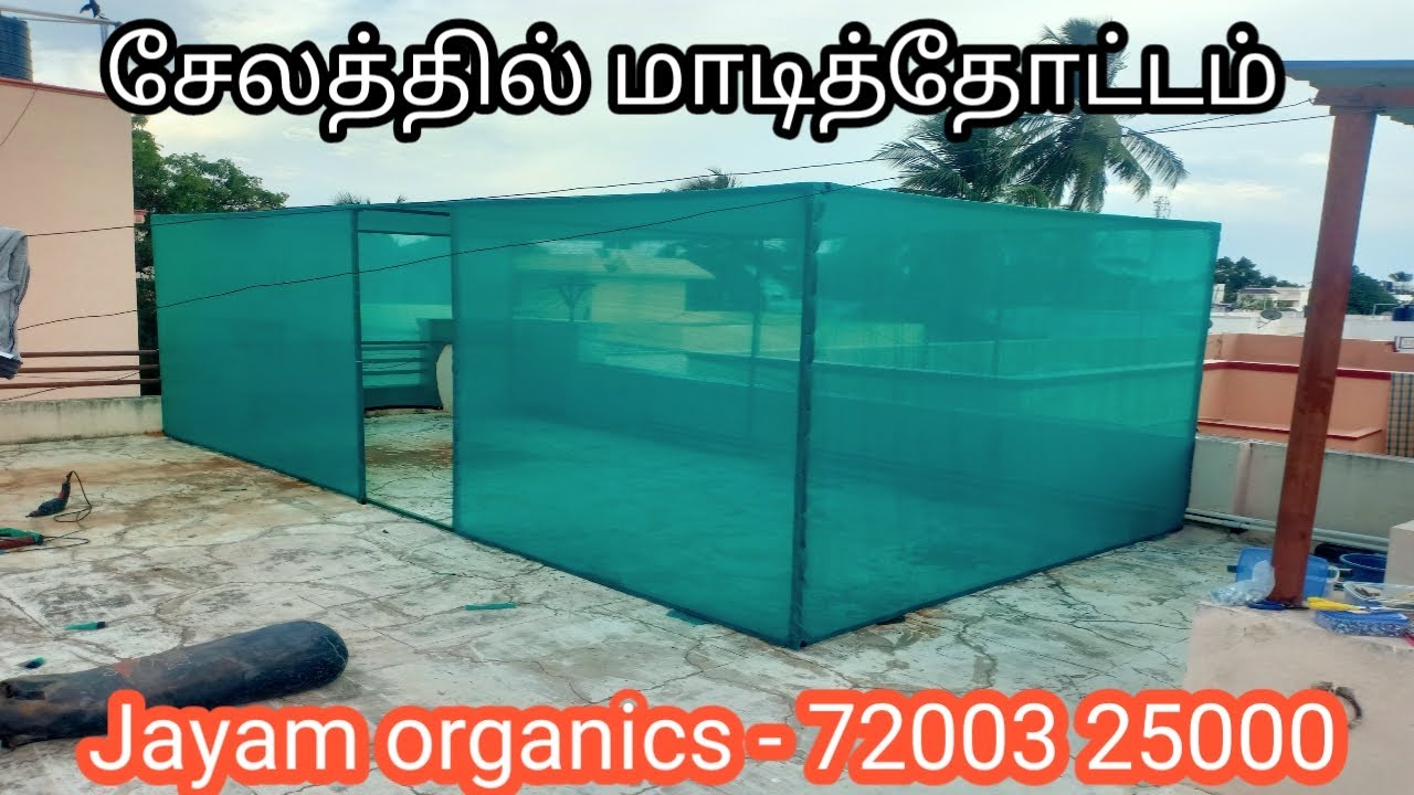 Maadi thottam at Salem Shade net house Green House Terrace Gardening by ...