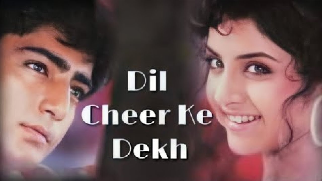Dil Cheer Ke Dekh Tera Hi Naam Hoga Kumar Sanu Nadeem Shravan