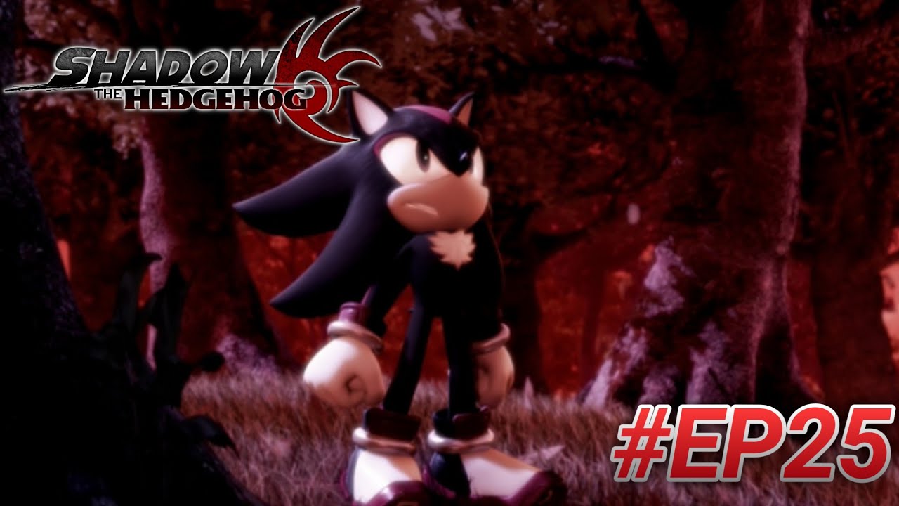 SHADOW THE HEDGEHOG EP25 | SHADOW & BLACK DOOM IN SPACE PAST LIFE - YouTube