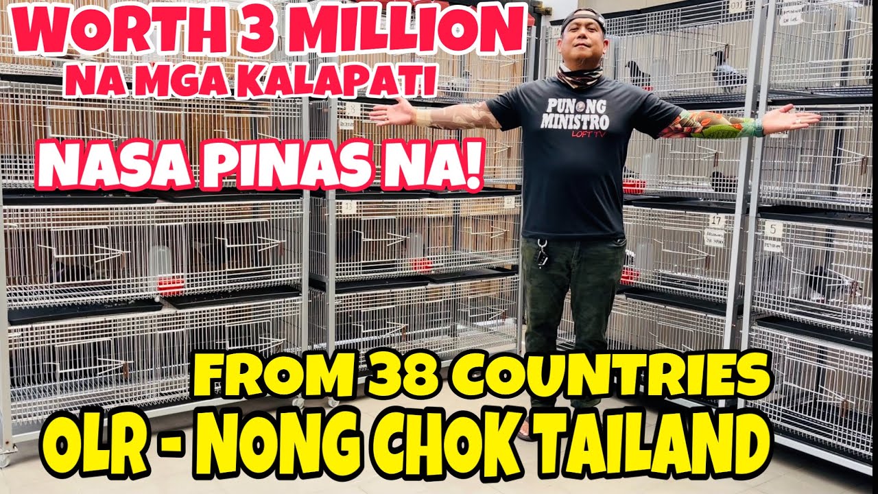 WORTH 3 MILLION NA KALAPATI IMPORTED RACING PIGEON NASA PINAS NA ...