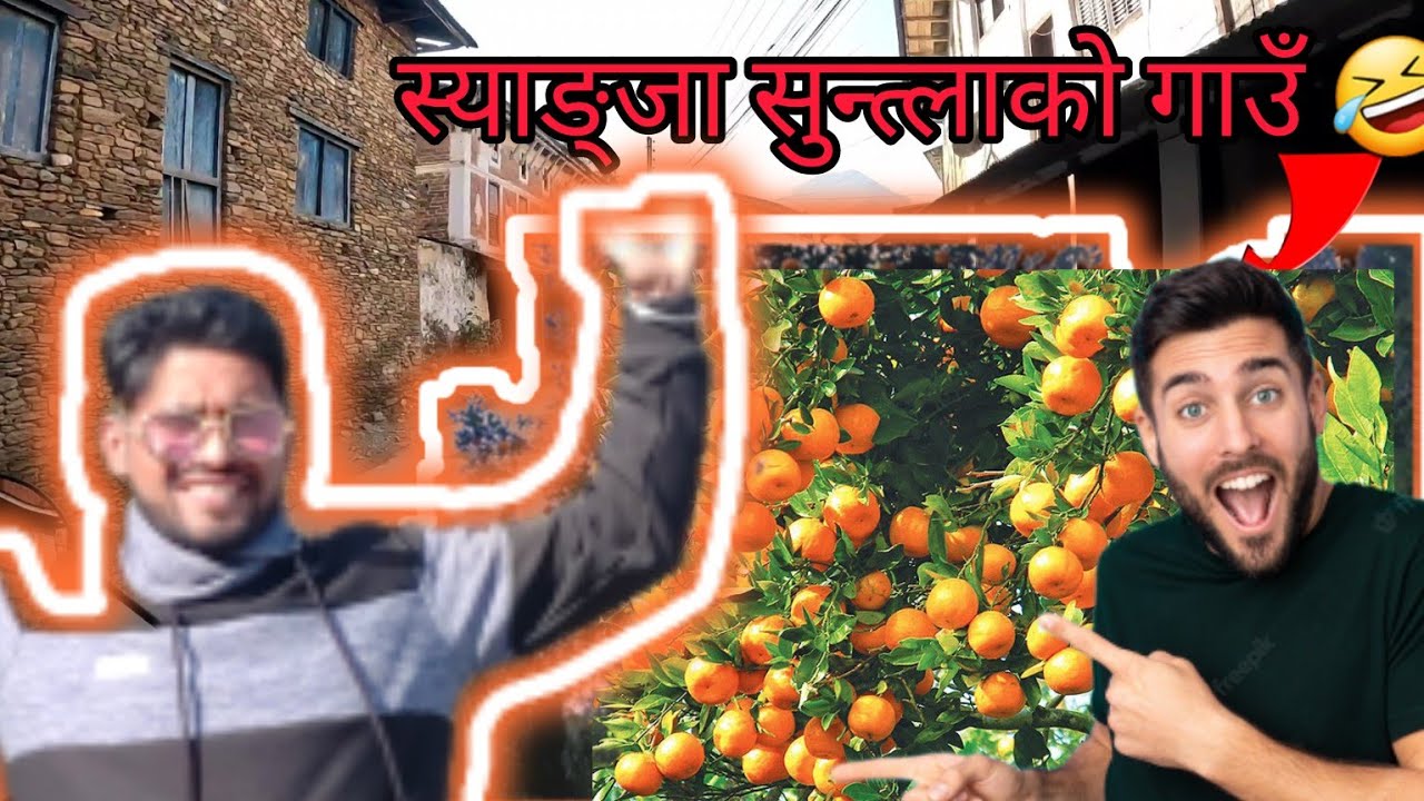 स्याङ्जा मा यति धेरै सुन्तला हामी त हेरेको हेरेही😂to much orange in ...
