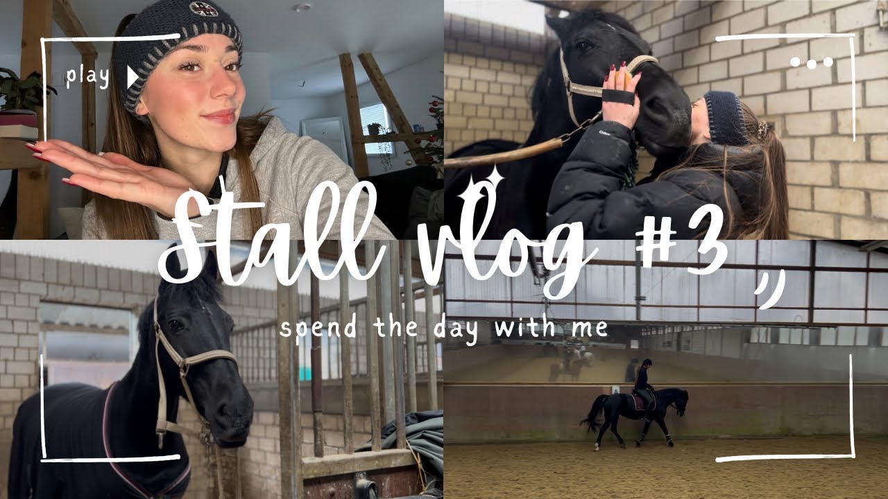Stall Vlog #3 - Zwei Tage mit am Stall 🐴💗 - YouTube