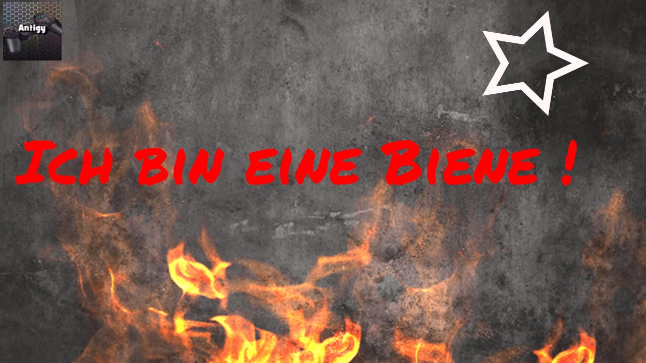 Ich bin eine Biene Remix Stard Ova[10 Minuten version] - YouTube