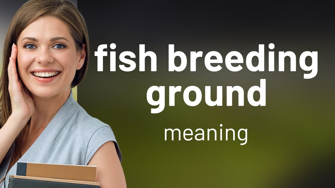Understanding "Fish Breeding Grounds": A Deep Dive - YouTube