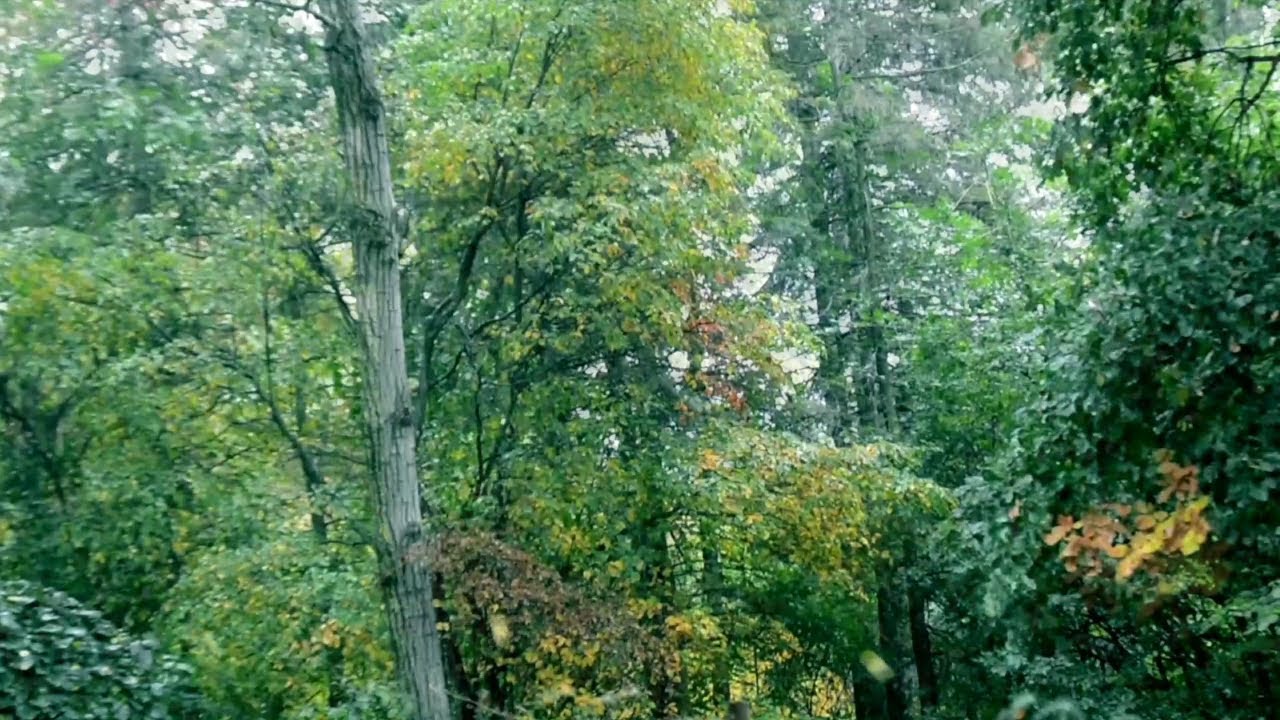 Instrumen sedih- musik biola menyentuh hati- sad instrument - YouTube