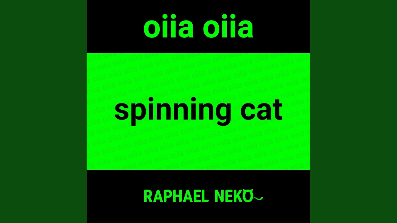spinning cat (oiia oiia) - Raphael Neko: Song Lyrics, Music Videos & Concerts