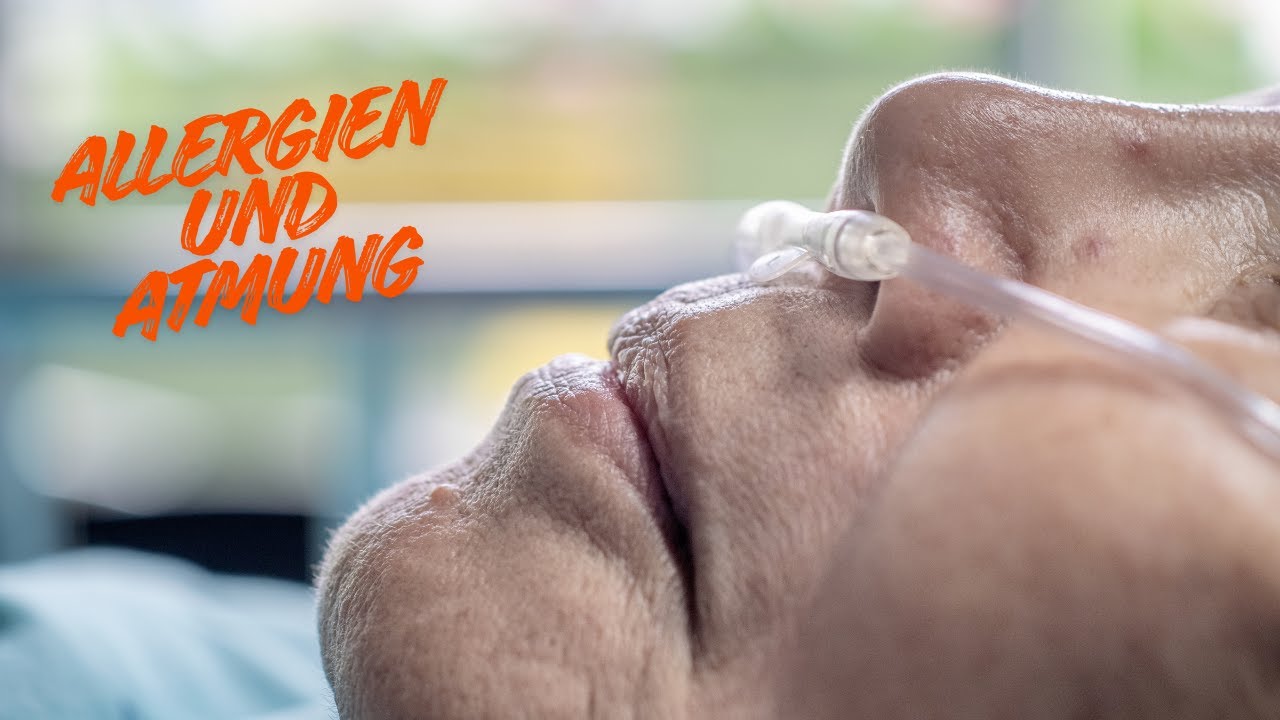 Allergien und Atmung: Warum Histamin Atemprobleme auslöst #Allergien,# ...