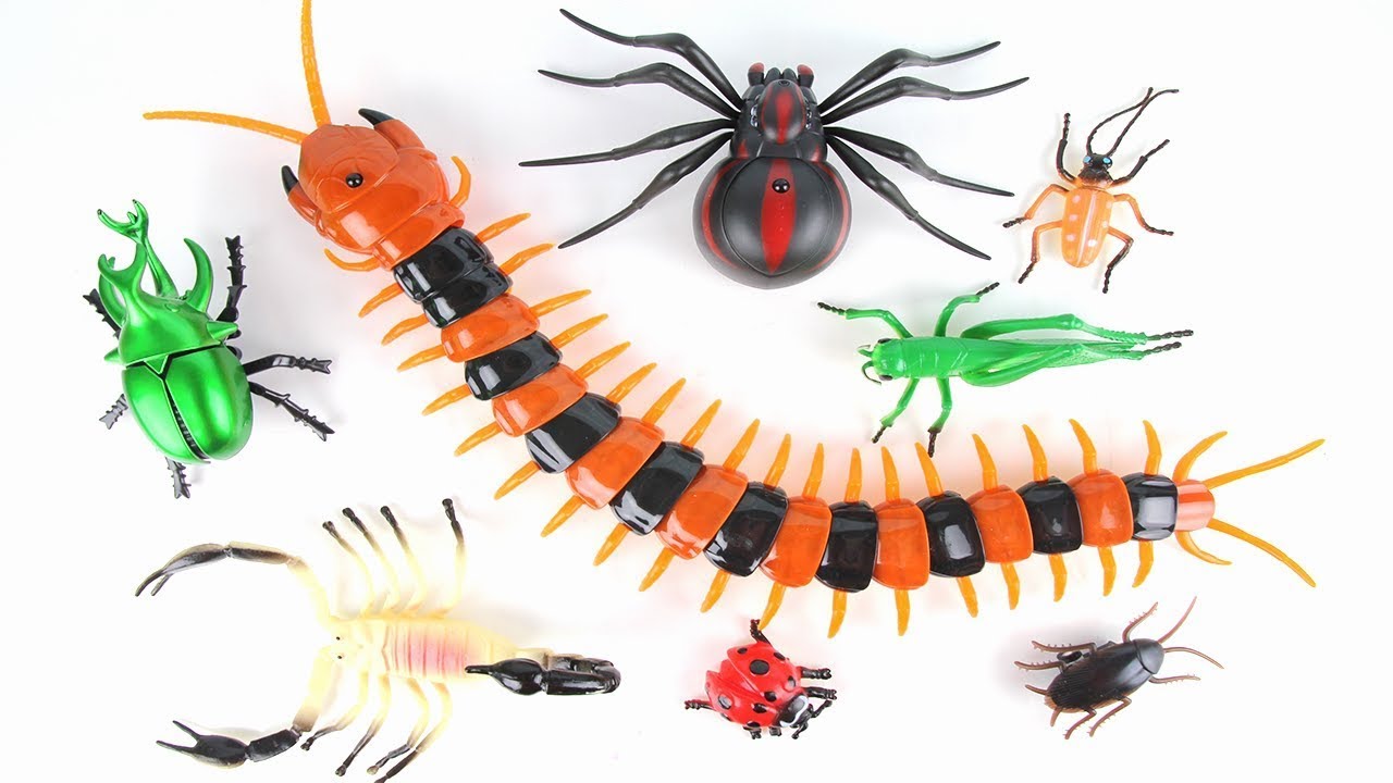 Animal Planet Giant Insect Adventure! Fun Bug Toys for Kids! Learn ...